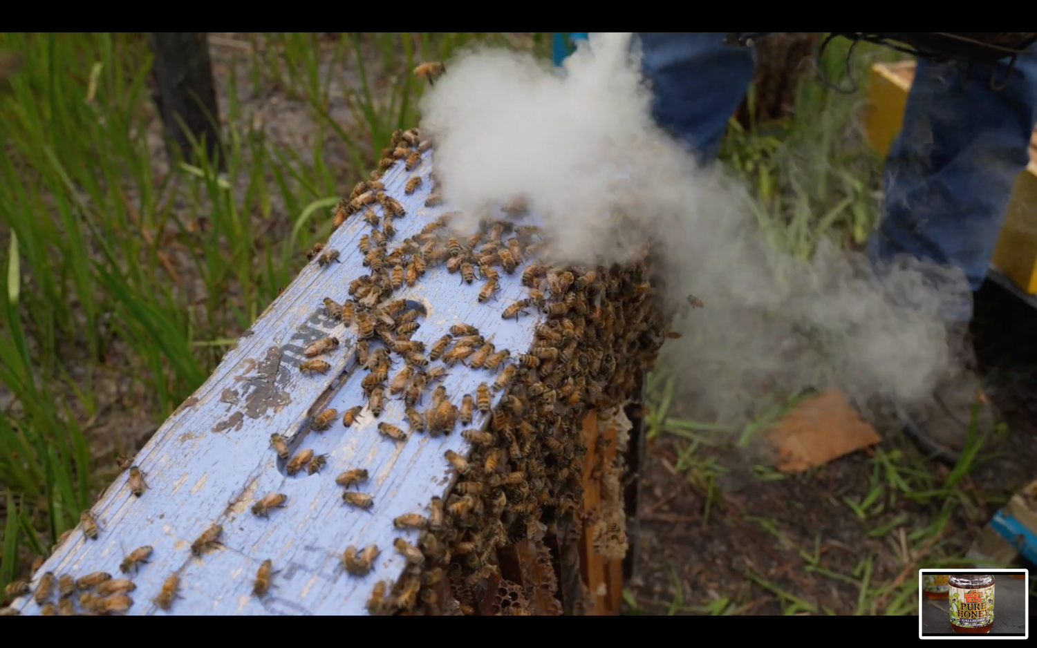 The Honey Shack – The Honey Shack LLC