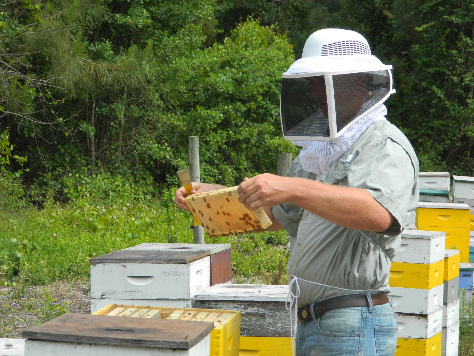 The Honey Shack, LLC